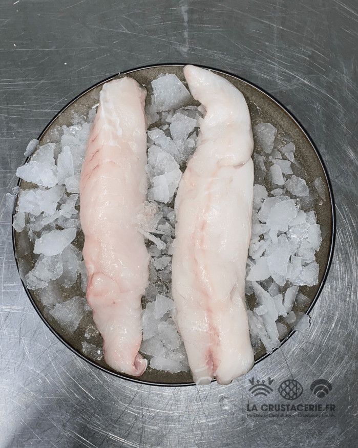 Vente en ligne de filet de lotte - environ 500g