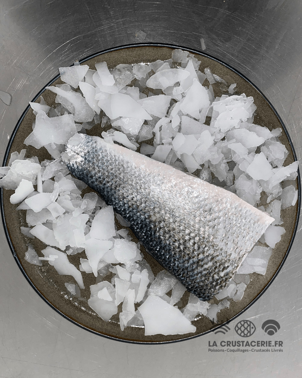 Vente en ligne de pavé de bar sauvage - le pavé d'environ 150g